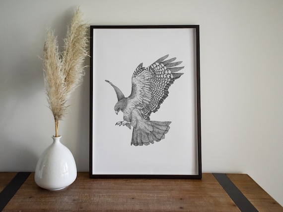 RED-TAILED HAWK Print minimalist Print Animal Illustration - Etsy