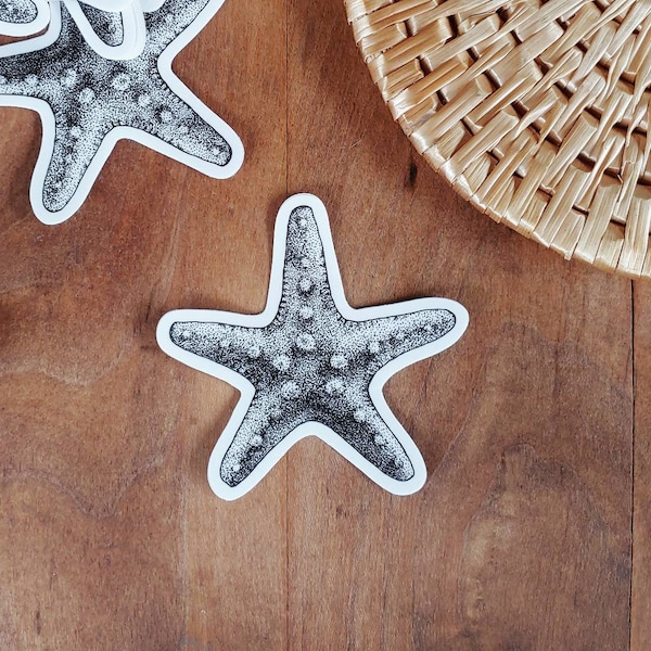Starfish Sticker - Etsy