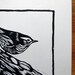 Wren Linocut Print, Original Linoprint, Bird Art, British Wildlife, 8x8 ...