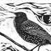 Starling Linocut Print, Original Linoprint, Bird Art, British Wildlife ...