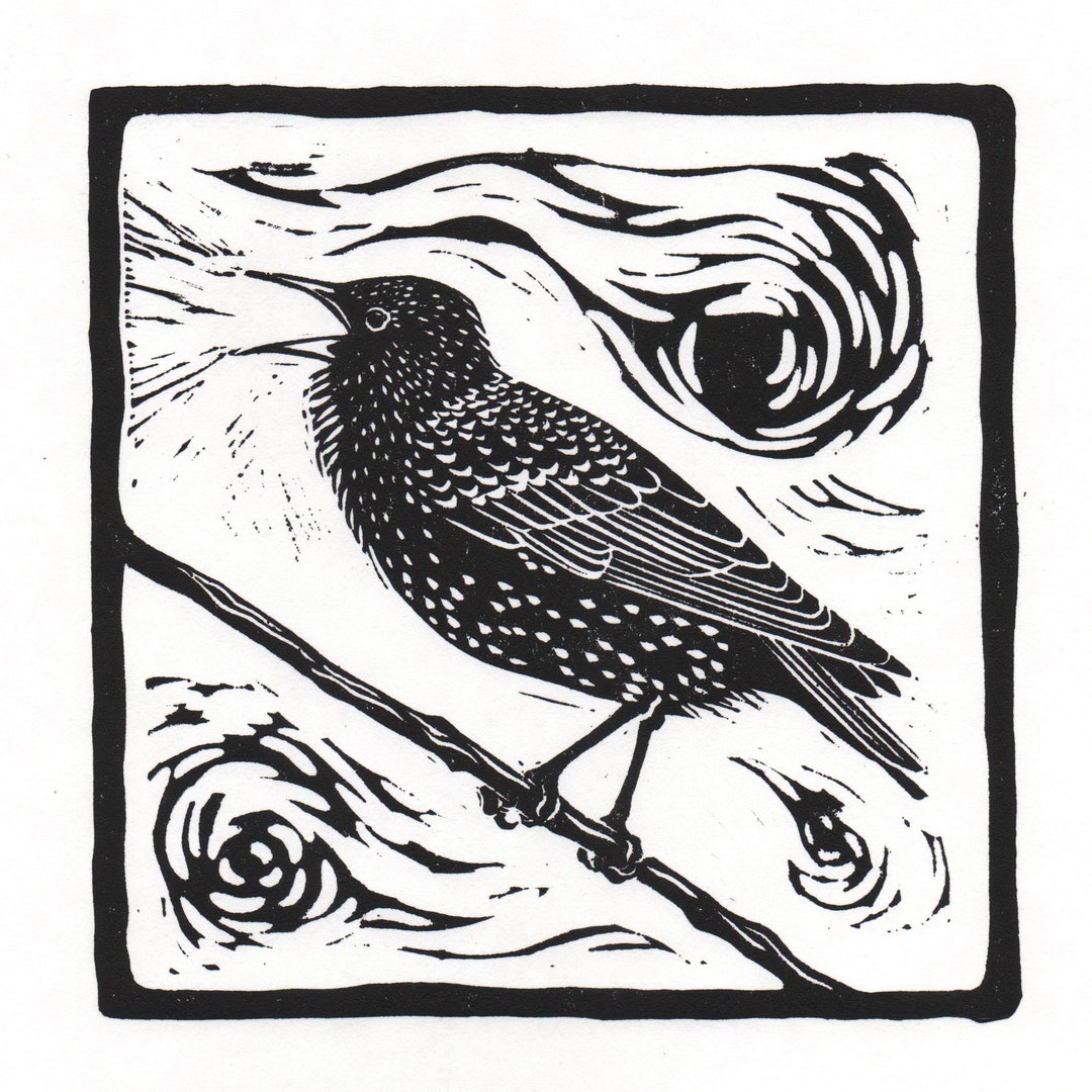 Starling Linocut Print, Original Linoprint, Bird Art, British Wildlife ...