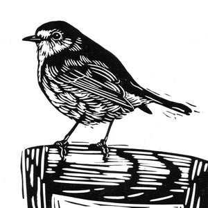 Robin Linocut Print, Original Linoprint, Remembrance/memorial Gift ...