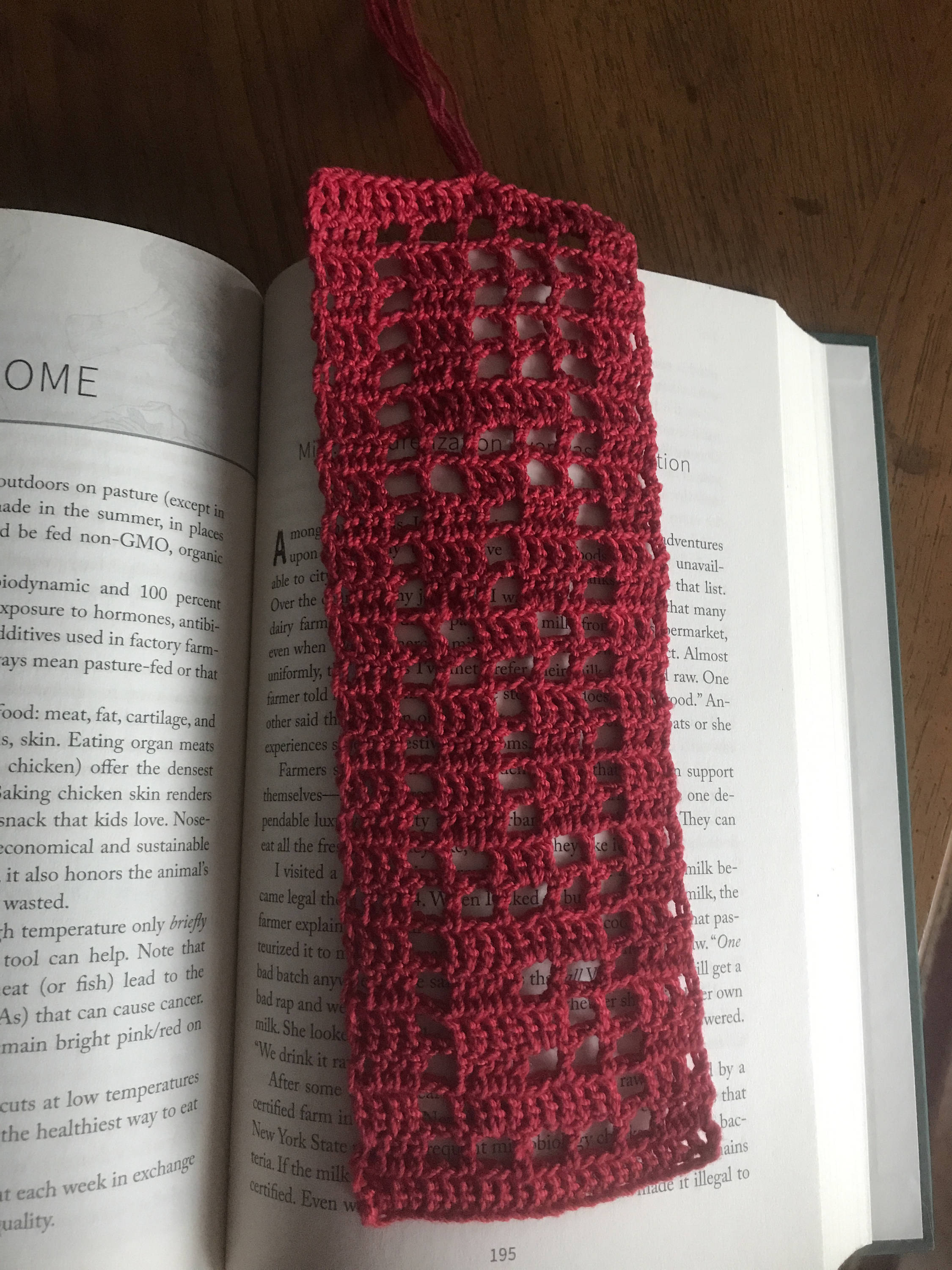 Filet Crochet Bookmark LOVE Pattern - Etsy