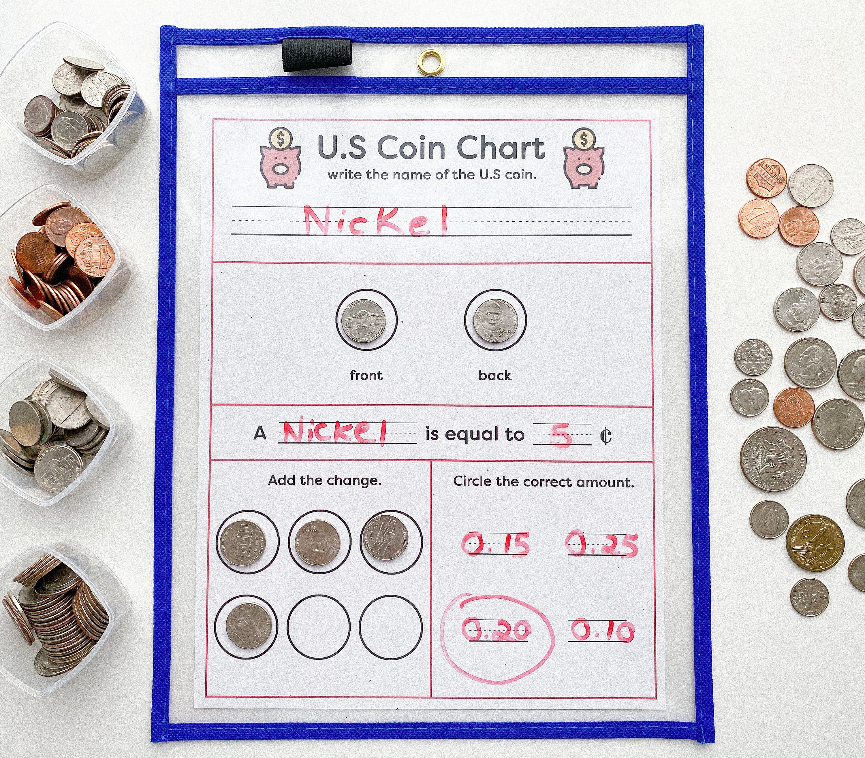 US Coins Counting Worksheet: Homeschool Money Activity (PDF Download ...