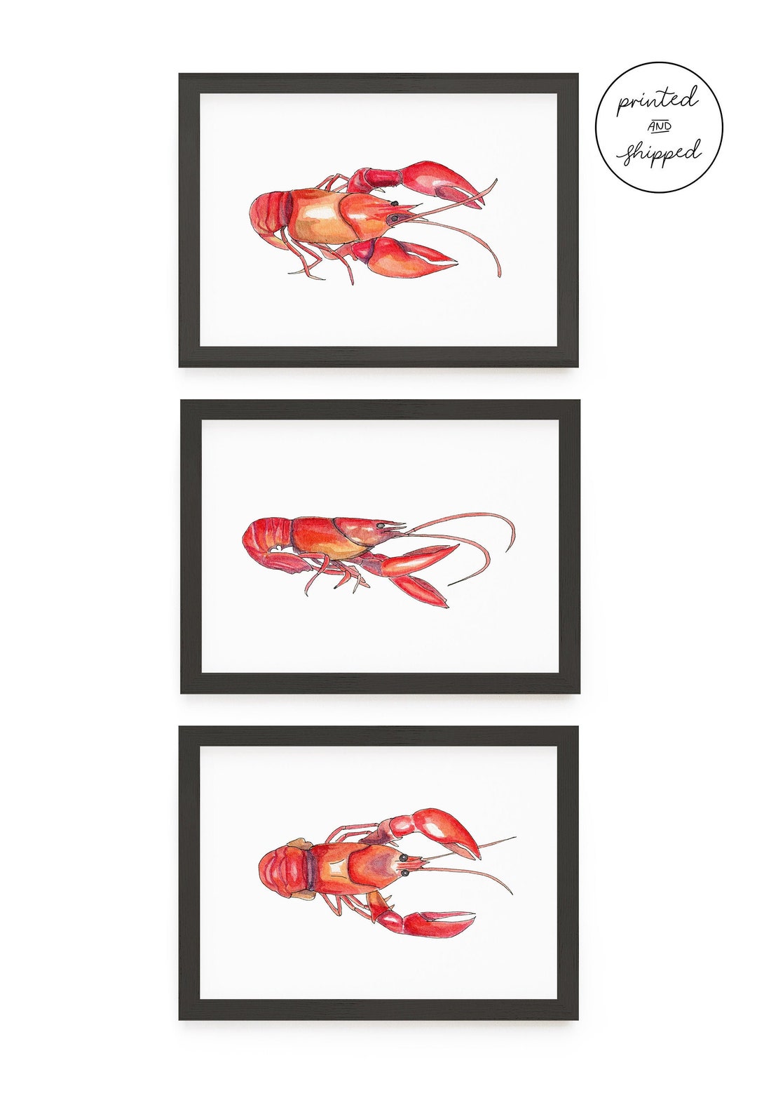 Set of 3 Watercolor Crawfish Prints - Crawfish Triptych - Physical ...