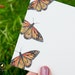 Monarch Butterfly Stationery - Personalized or Blank - Flat Note Cards ...