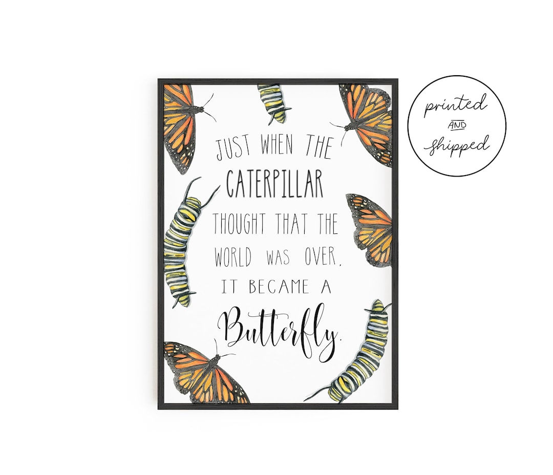 Just When the Caterpillar Thought That the World Was Over, It Became a ...