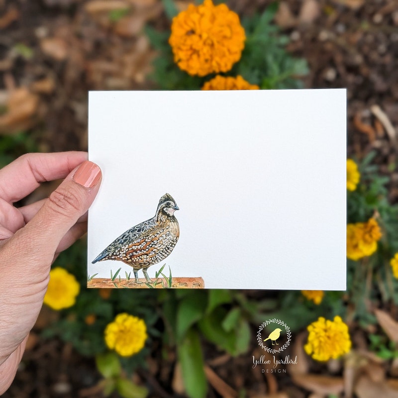 Bob White Quail - Etsy