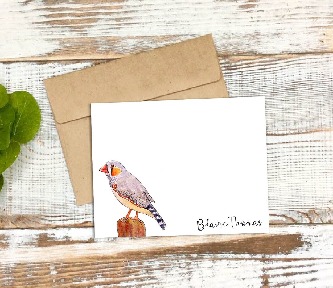 Australian Zebra Finch Notecards - Personalized or Nonpersonalized ...