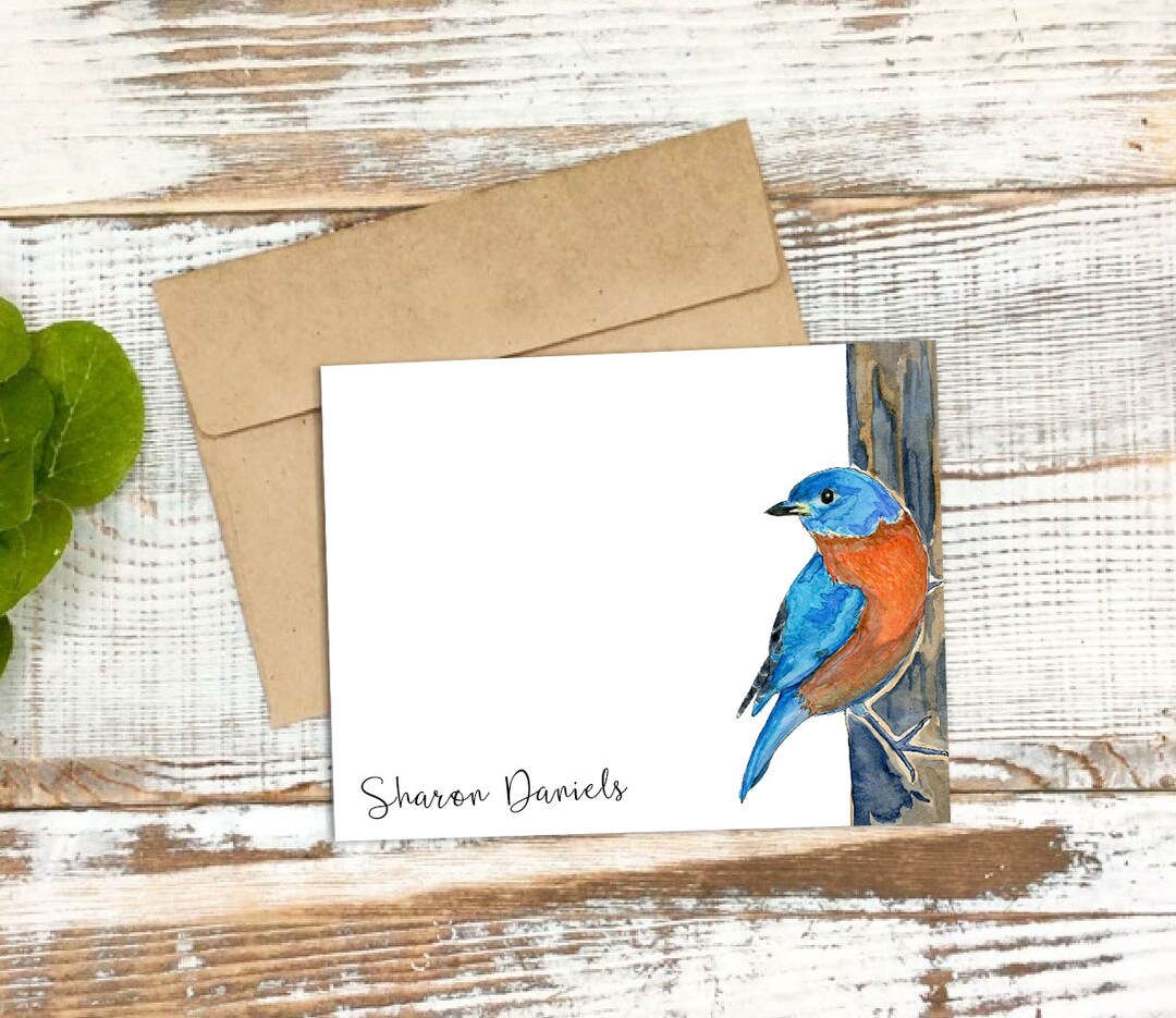 Eastern Bluebird Stationery - Bird Note Cards - Flat Note Cards and ...