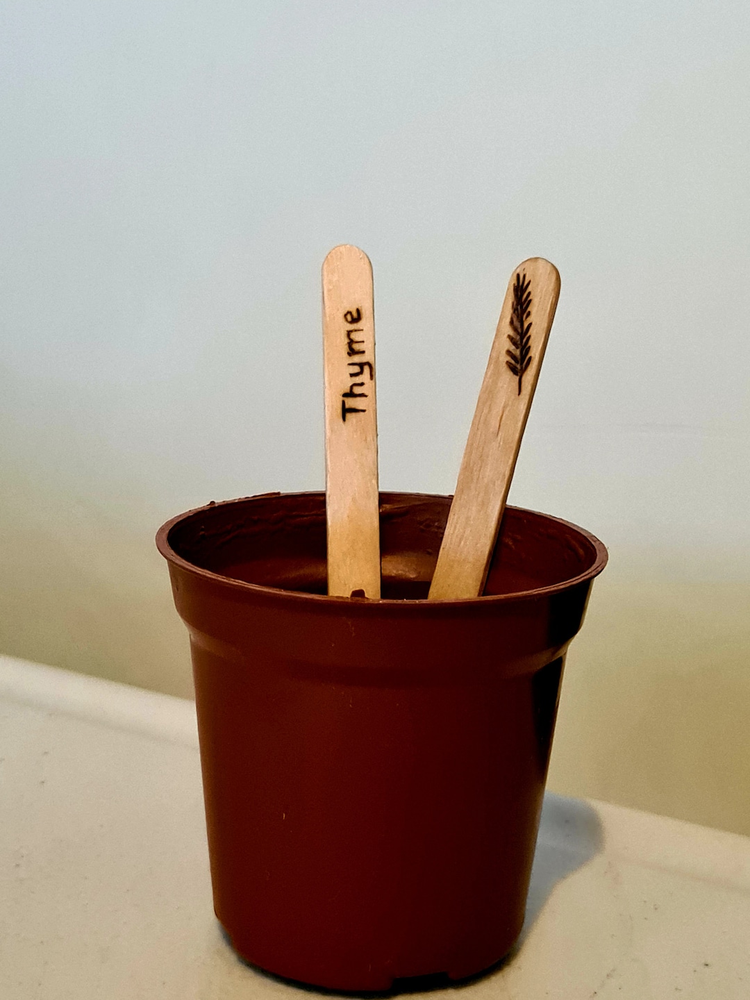 Pack of 4 Wooden Pyrography Plant Pot Labels Herbs Vegetables Sign ...