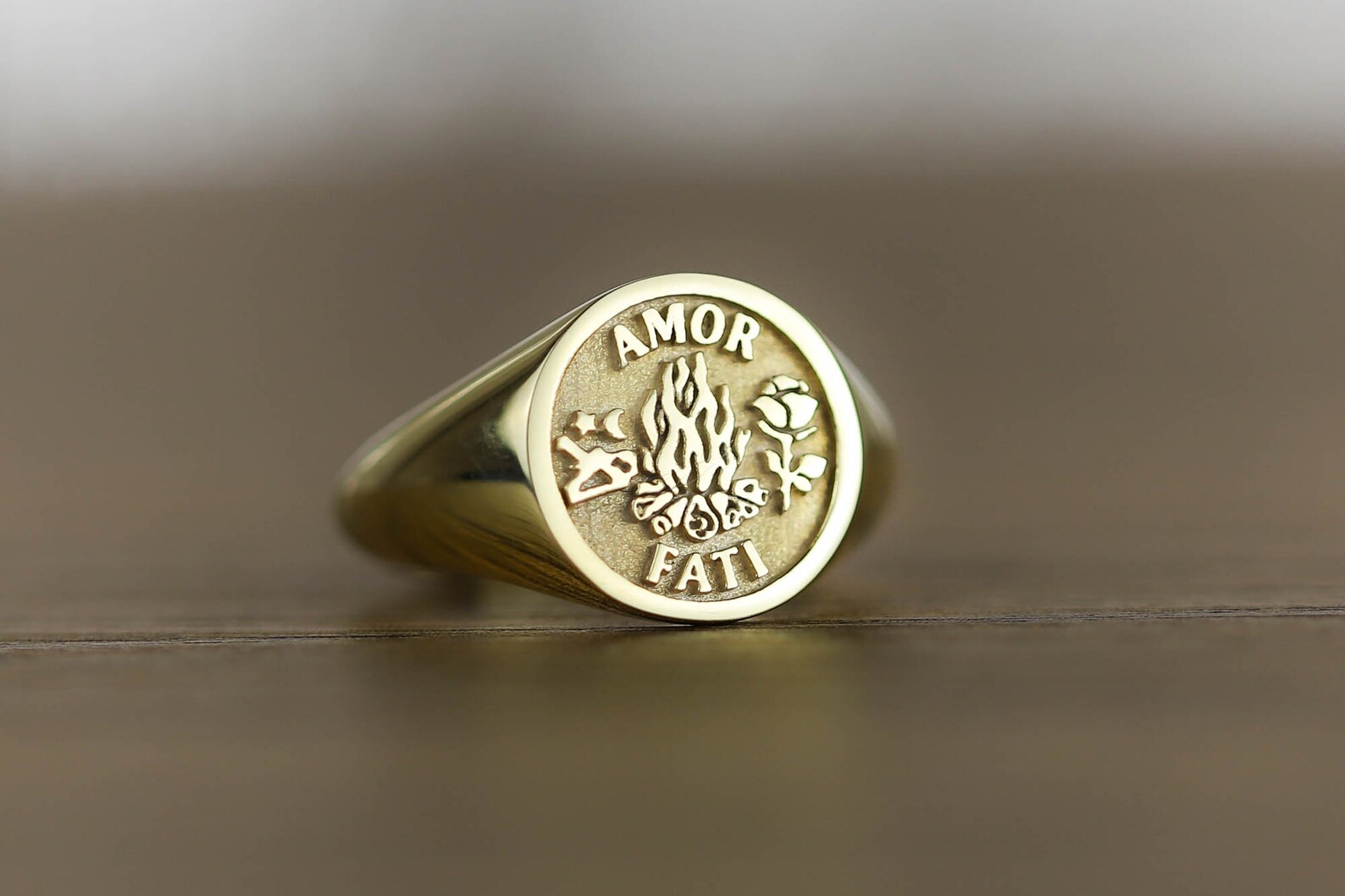 Amor Fati Ring Amor Fati Signet Ring Fate Ring Love of Fate | Etsy