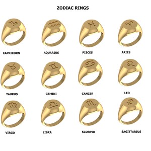 Aquarius Signet Ring, Zodiac Signet Ring, Zodiac Rings, Zodiac Sign ...