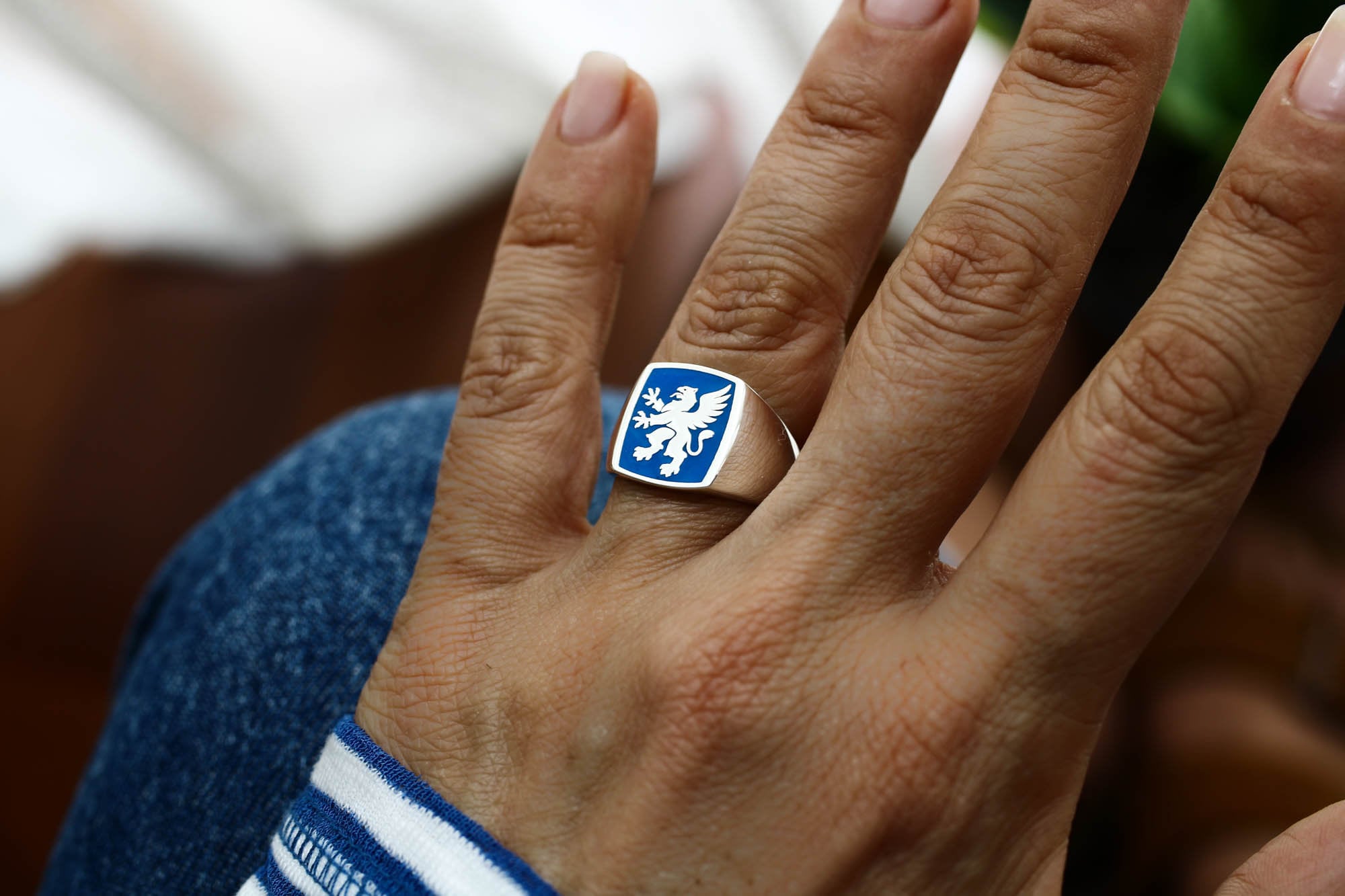 Blue Enamel Griffin Signet Ring Cushion Signet Ring Silver | Etsy