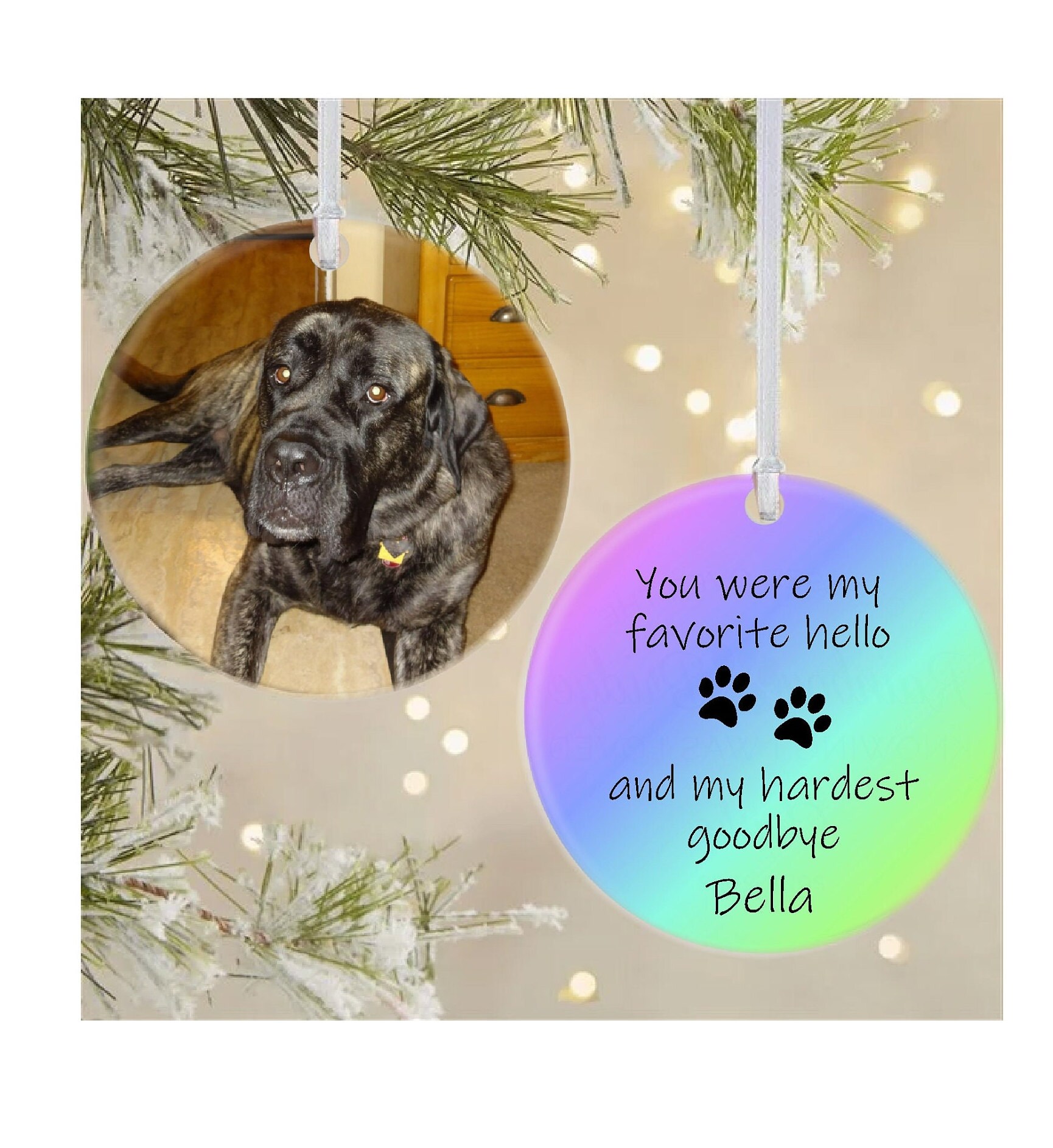 Rainbow Bridge Memorial Photo Ornament. Makes a Beautiful - Etsy