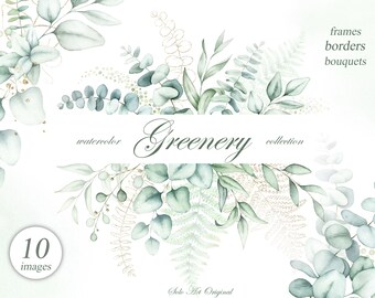 Eucalyptus Clipart Leaves Blue Leafy Greenery Watercolor Green - Etsy