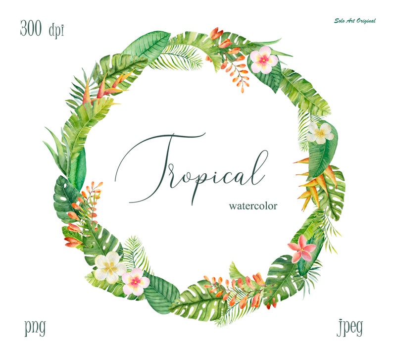 Tropical Floral Wreath PNG Clipart Watercolor Round Frame With - Etsy