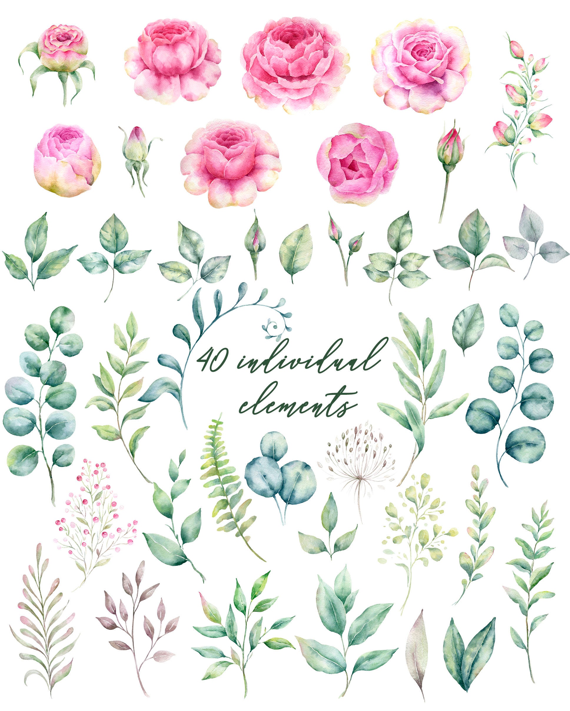 Floral Clipart Set Watercolor Pink Rose Flowers Eucalyptus - Etsy