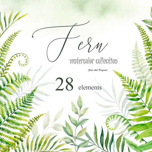 Watercolor Fern - Etsy