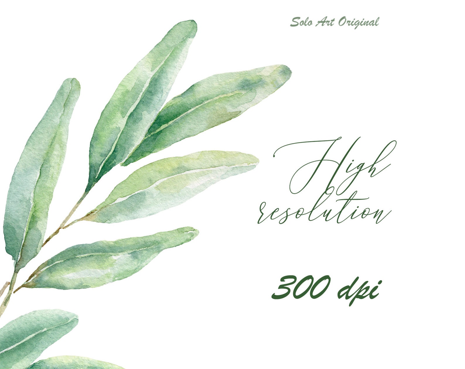 Floral Clipart Set Watercolor Pink Rose Flowers Eucalyptus - Etsy