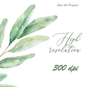 Floral Clipart Set Watercolor Pink Rose Flowers Eucalyptus Leaves ...