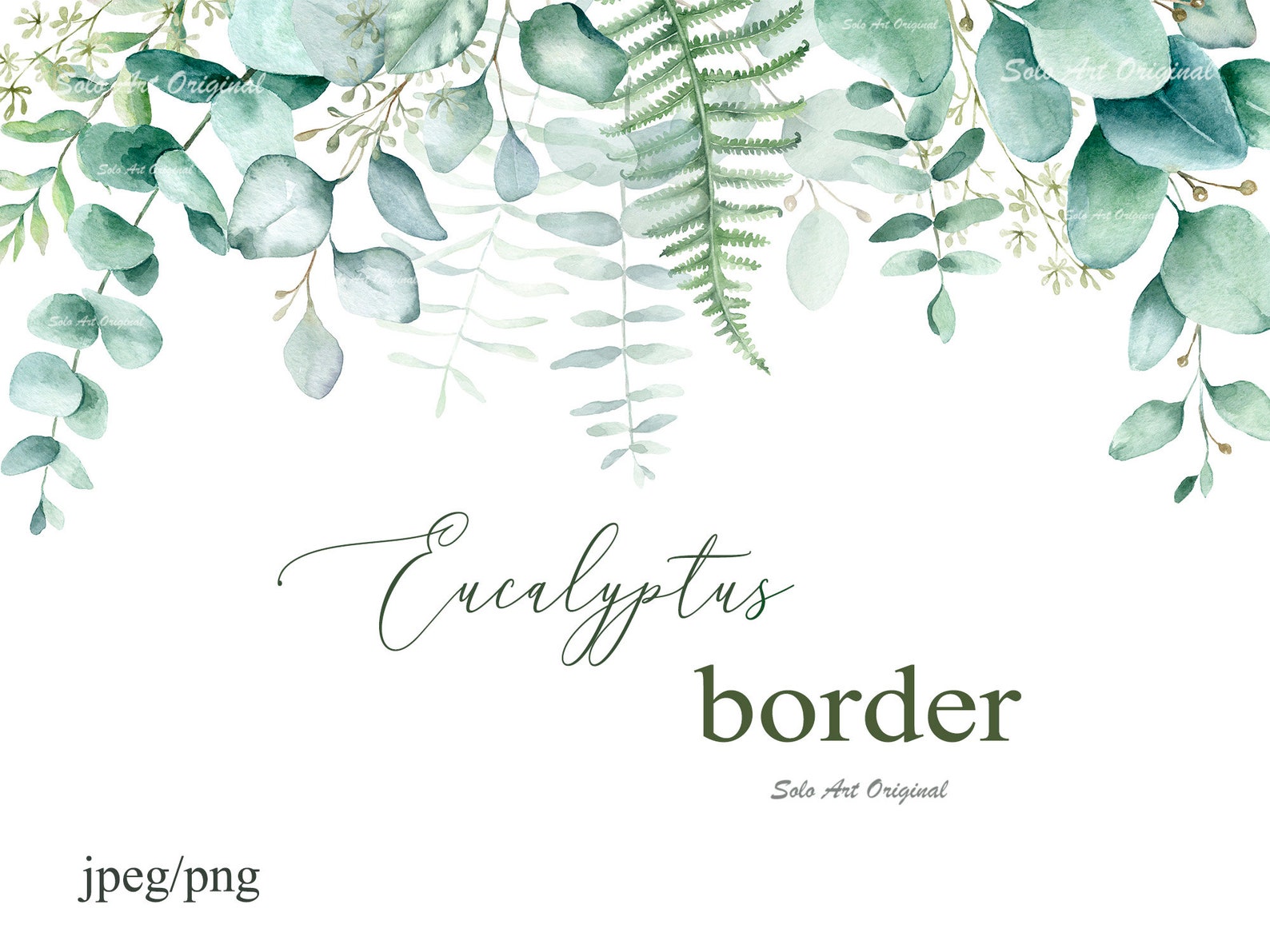 Eucalyptus Border Clipart Greenery Floral Background Botanical - Etsy