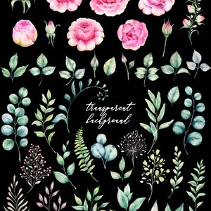 Floral Clipart Set Watercolor Pink Rose Flowers Eucalyptus Leaves ...