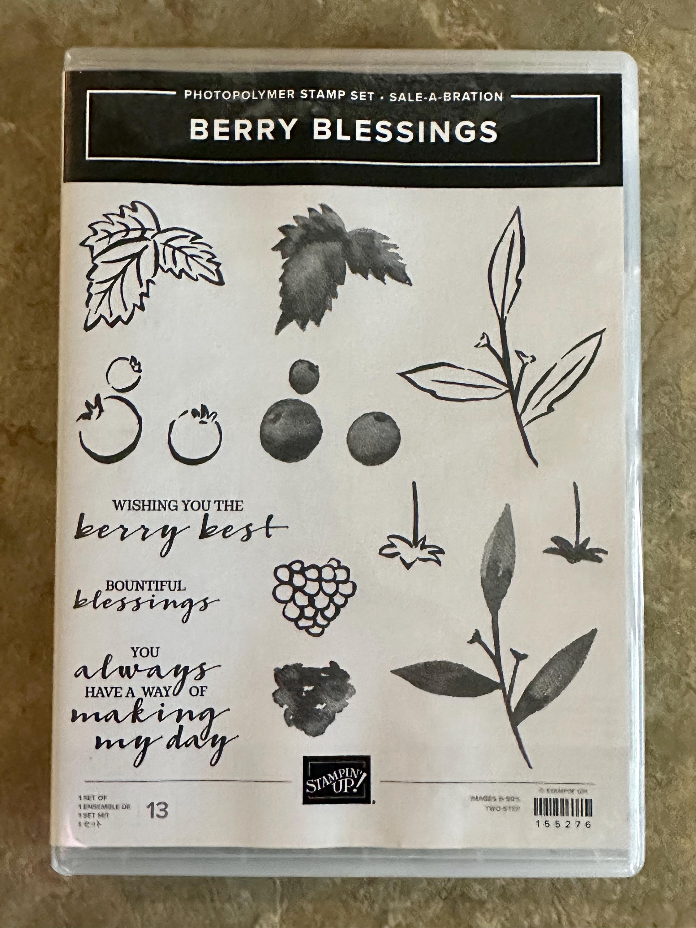 Stampin' up Retired Stamp Sets, Rubber Stamps, Photopolymer, Pre-owned ...