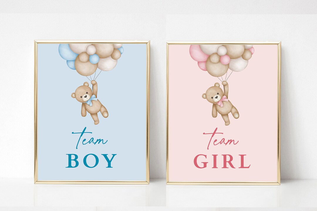 Team Boy or Team Girl Gender Reveal Party Blue and Pink Bear Baby ...