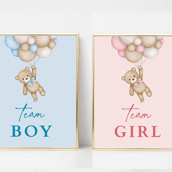 Team Pink Team Blue - Etsy