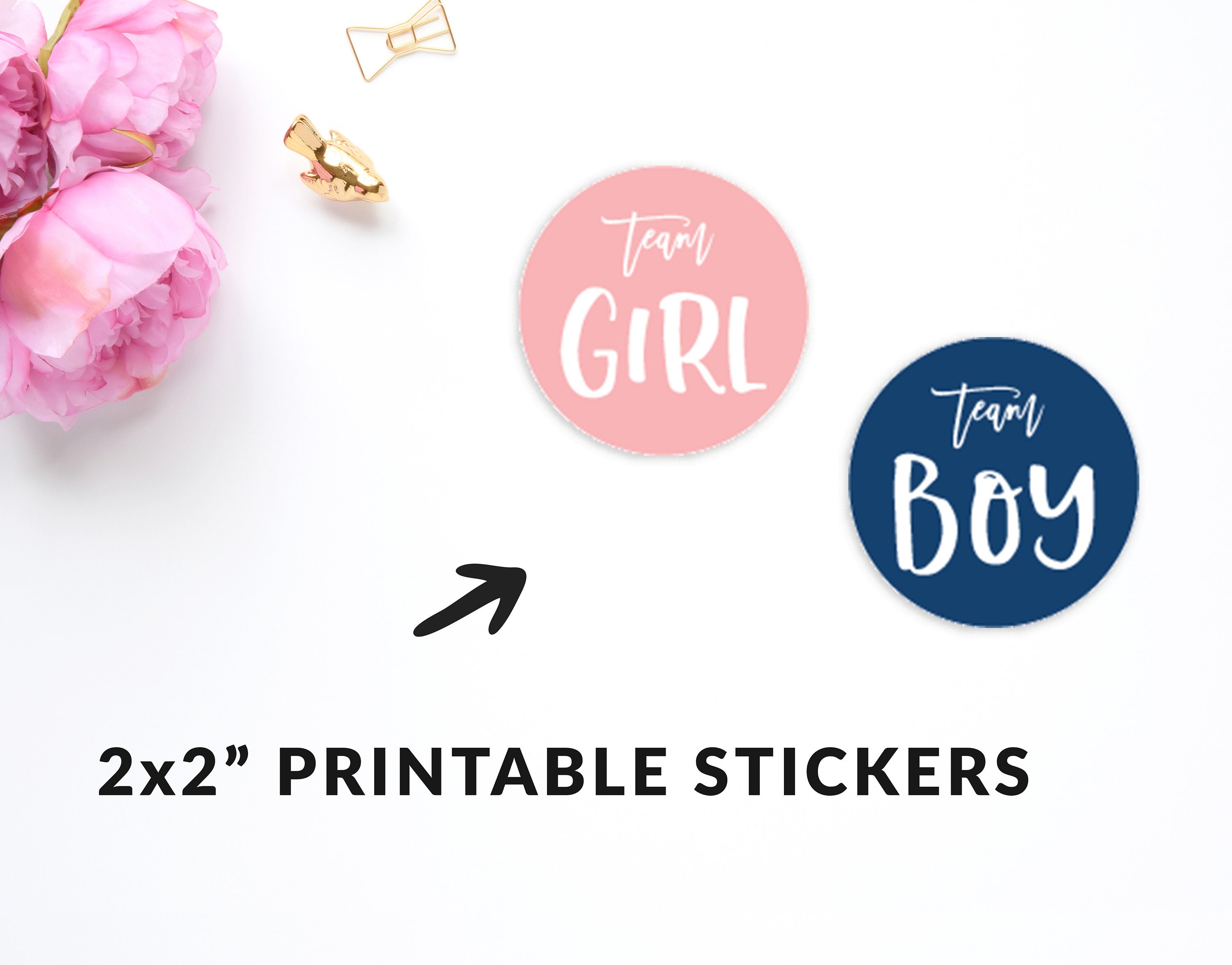 Team Boy Team Girl Printable Stickers Navy and Blush Gender - Etsy