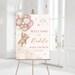 EDITABLE Pink Teddy Bear Welcome Banner, Pink Bear Balloons Baby Shower ...
