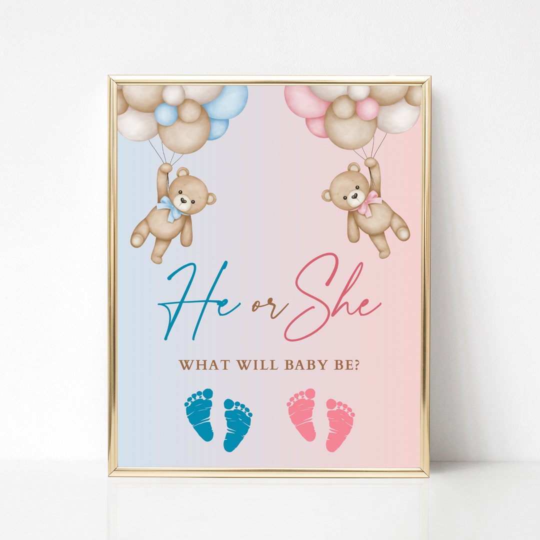 He or She What Will Baby Be Teddy Bear Gender Reveal Party Gender ...