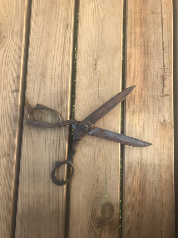 Vintage Collectable German Tailor Scissors / Shears Old | Etsy