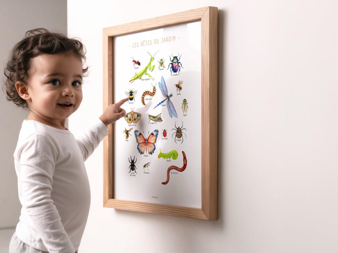 Garden Bugs & Insects Poster – Educational Decorative Wall Art – Kids ...