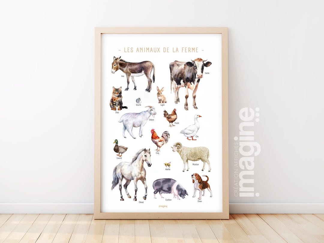Farm Animals Poster – Cow, Donkey, Rooster, Sheep, Pig – Educational ...