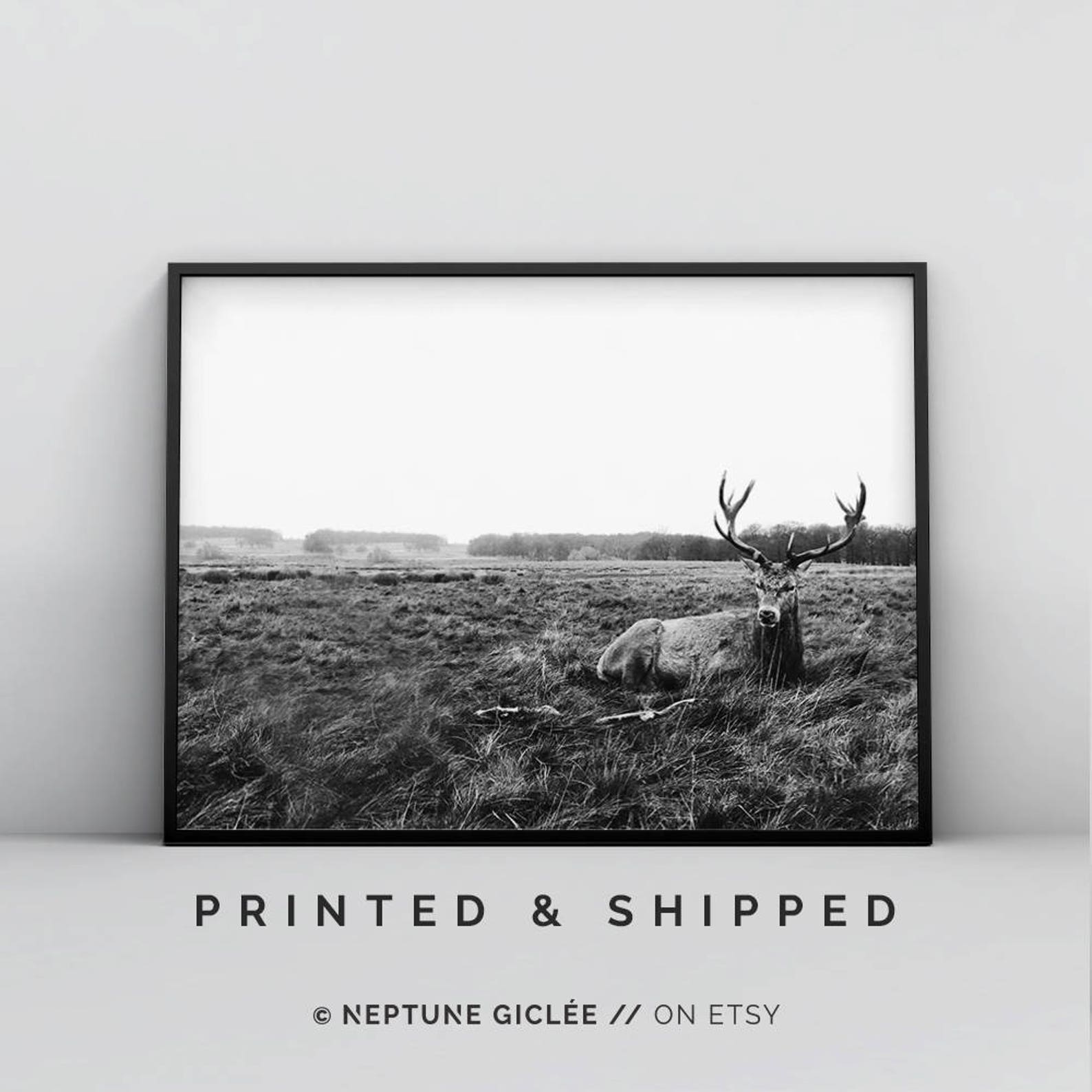 Black and White Deer Print Modern Deer Art Landscape Print - Etsy