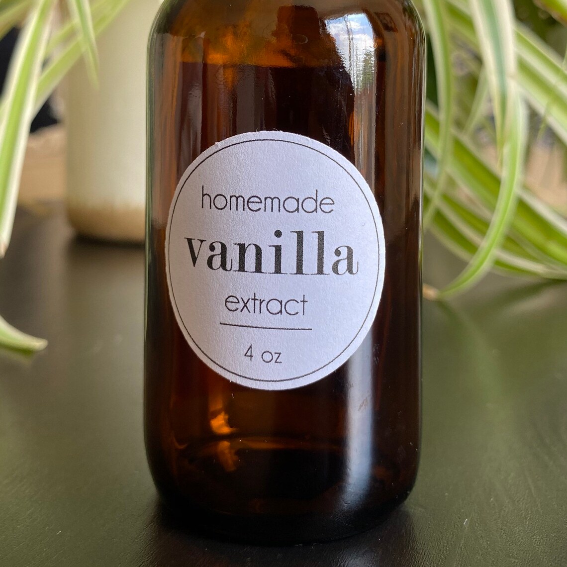 Modern Custom Round Extract Labels Vanilla Maple Almond - Etsy