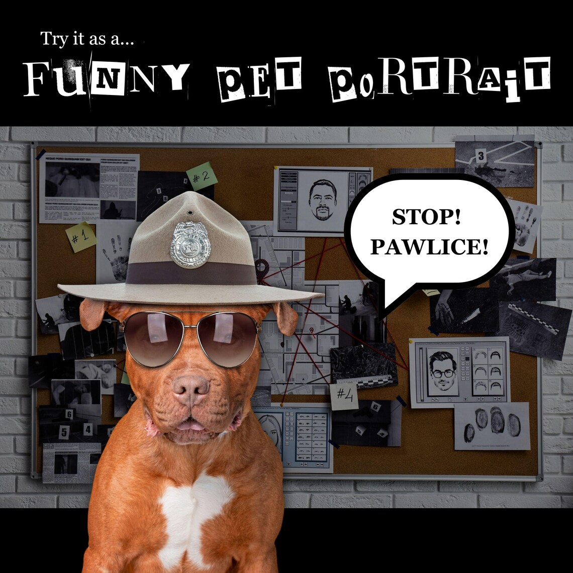Conspiracy Wall Kit | Digital DIY Crime Scene Board or Police Evidence ...