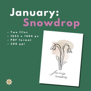 January Birthflower Printable, Carnation and Snowdrop, Line Art Style, Boho Aesthetic, Birth ...
