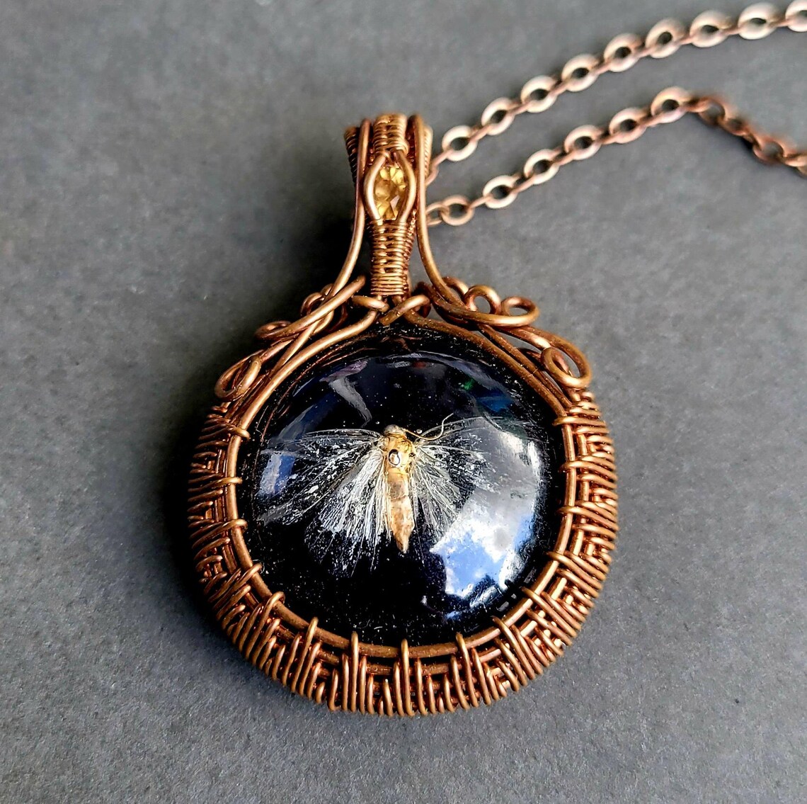 Moth in Resin Wrapped in Copper - Etsy
