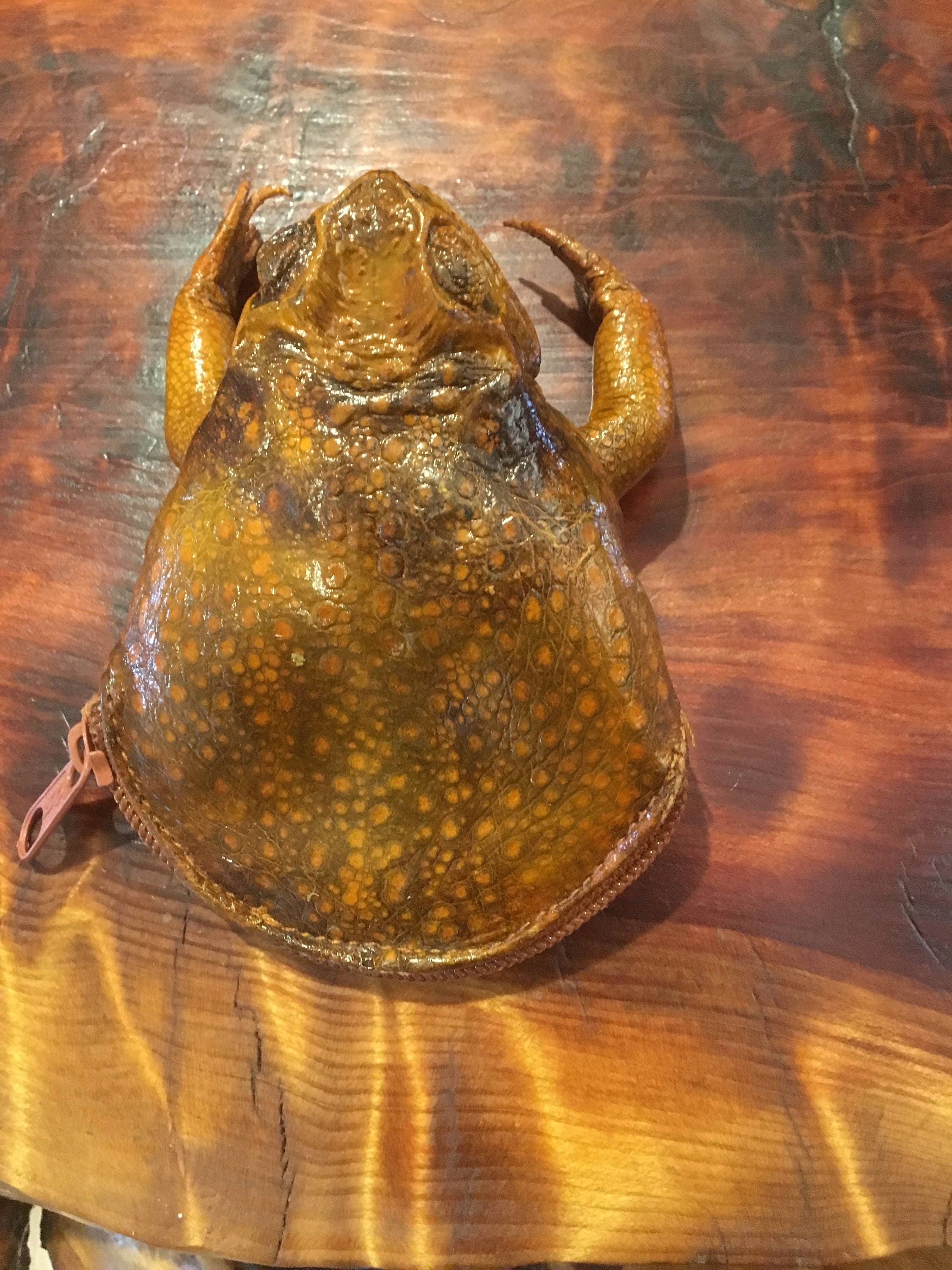 Cane Toad Purse | Etsy