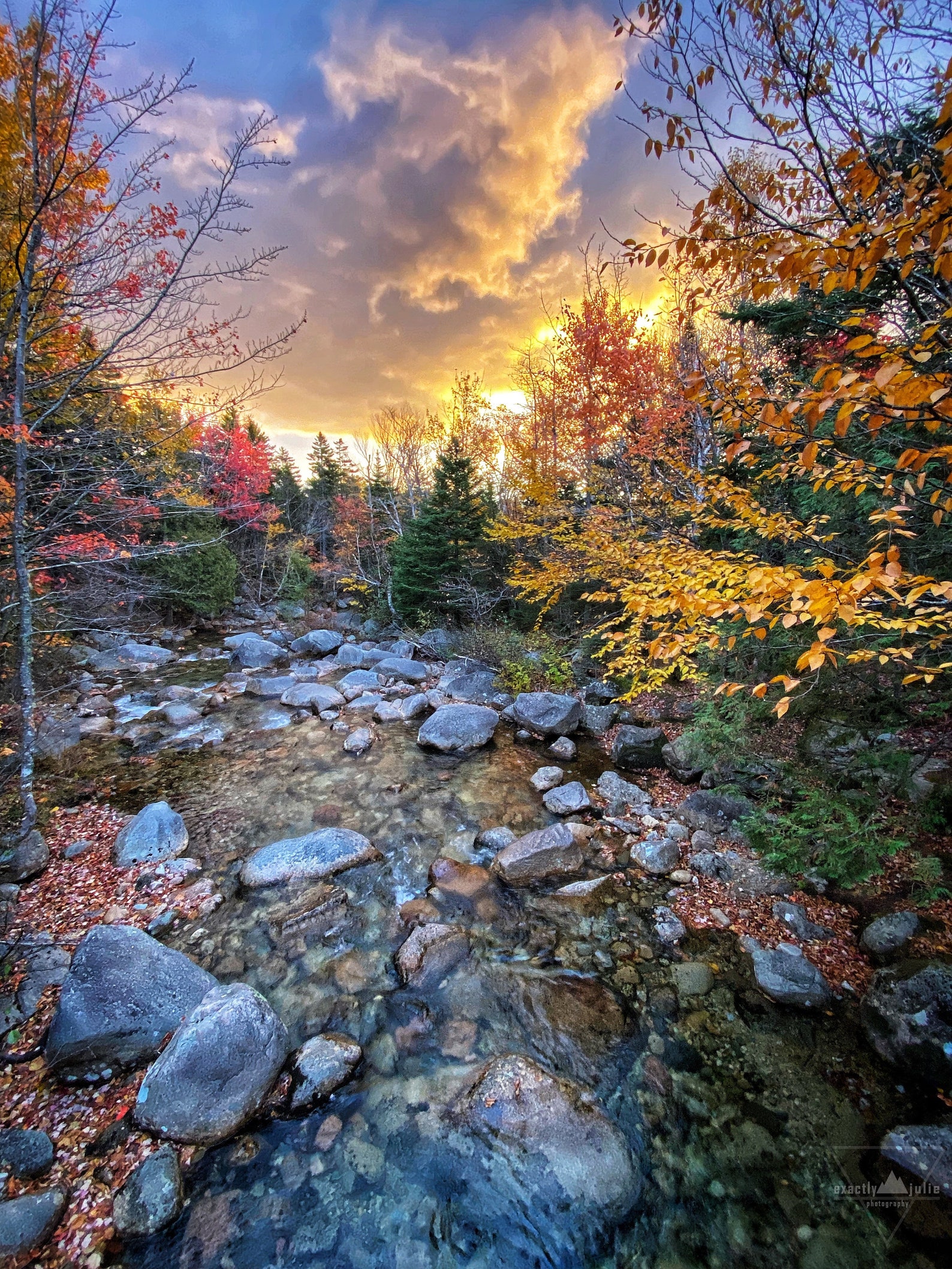 Fall on Chimney Pond Trail - Roaring Brook, Katahdin View in Maine ...