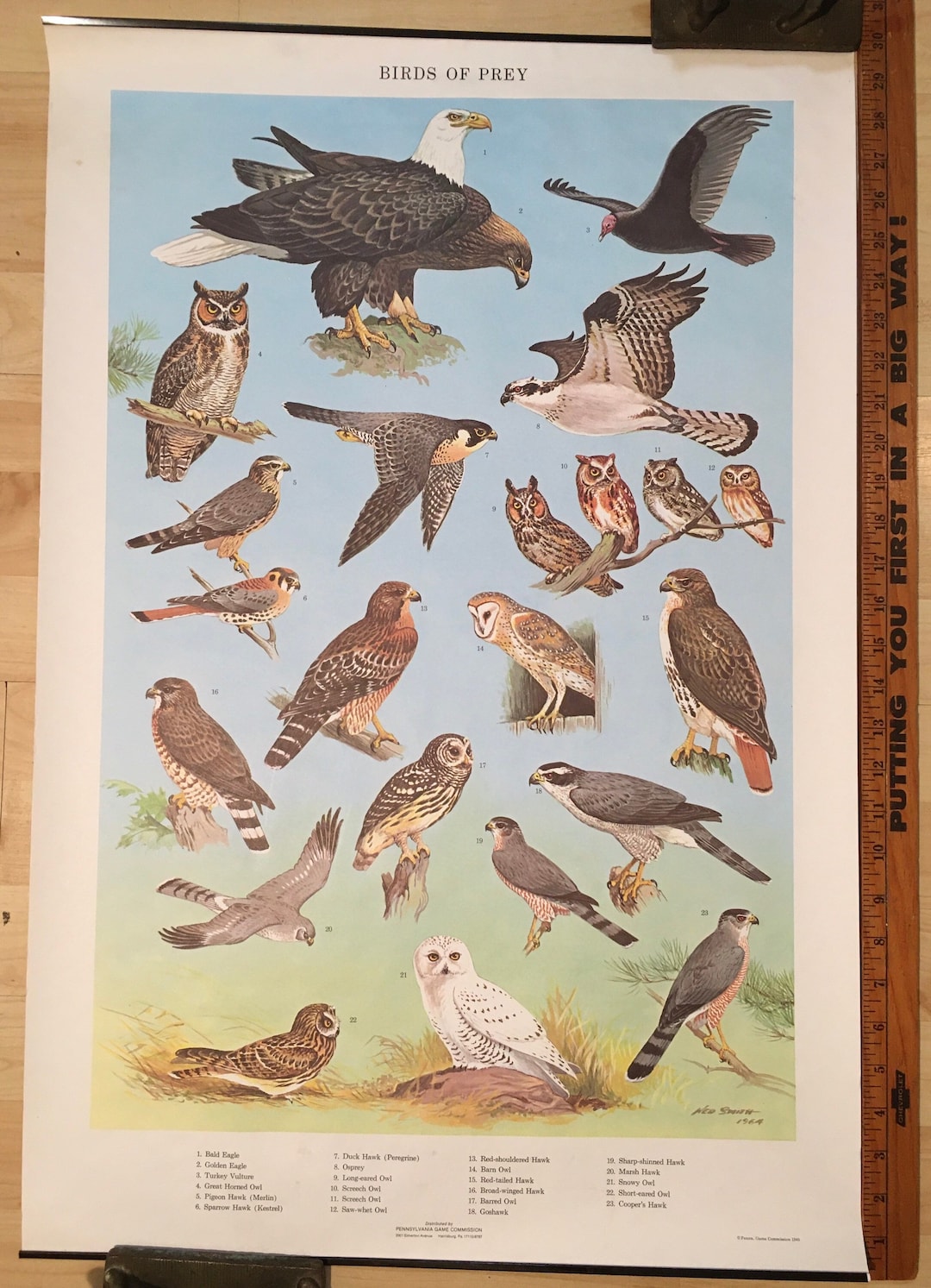 PA Game Commission, Waterfowl, Birds of Prey, Mammals of the Mountain ...
