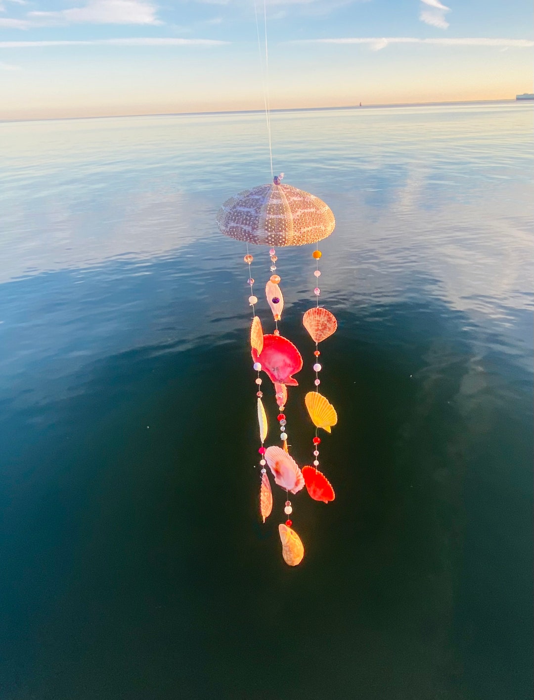 Large Purple, White, and Green Sea Urchin and Scallop Sea Shells Wind ...