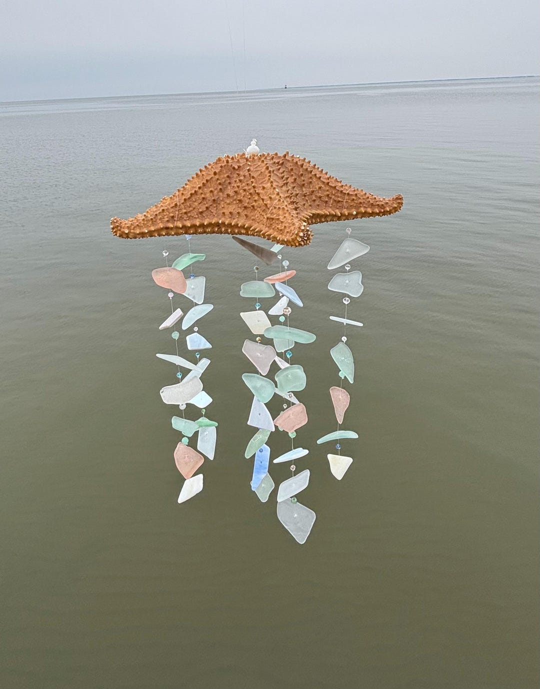 Large Spiny Orange Statfish With Seafoam, Pink, and White Beach Glass ...