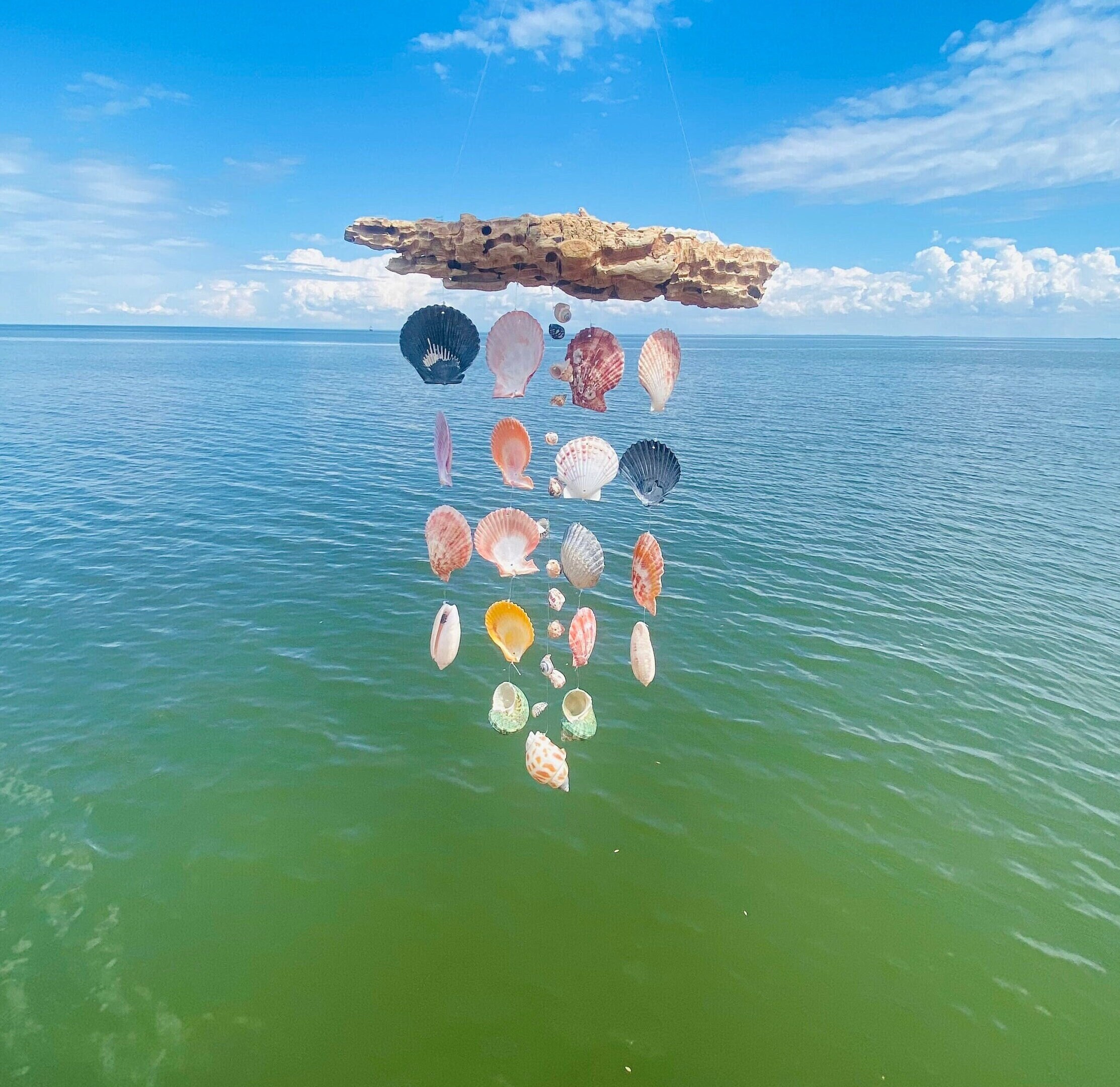 Driftwood With Scallop and Spiral Sea Shells Wind Chime Sea - Etsy
