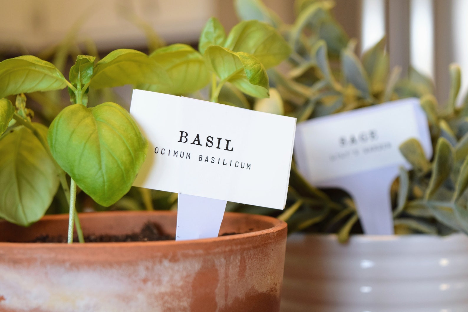 Plant and Garden Marker Labels Customization Available - Etsy