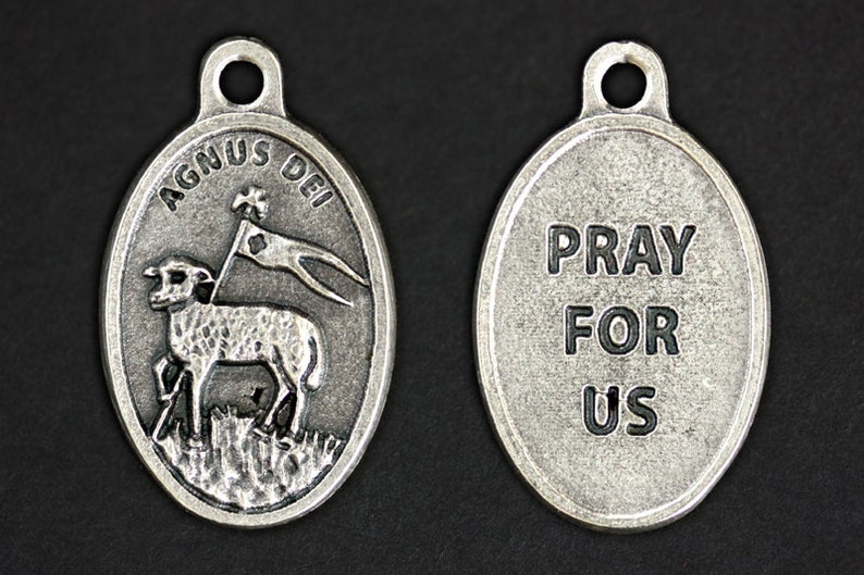 Agnus Dei Medal Necklace. Agnus Dei Necklace. Catholic | Etsy