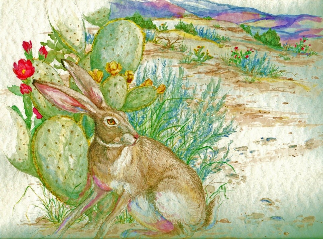 High Desert Jackrabbit - Etsy